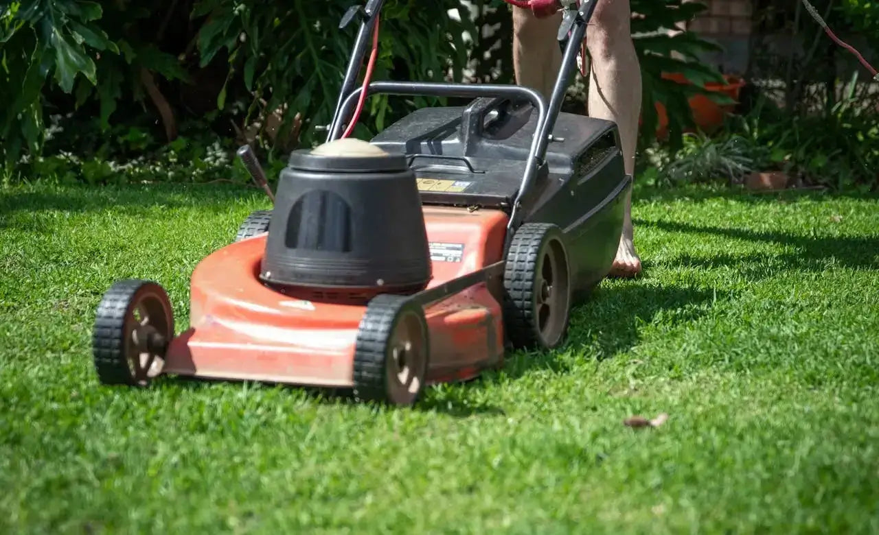 How Often Should You Mow Your Lawn? A Simple Guide for Healthy Grass ...